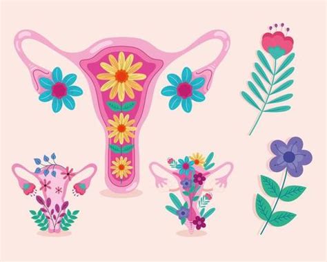 Pink Vagina With Flowers Vector Art At Vecteezy