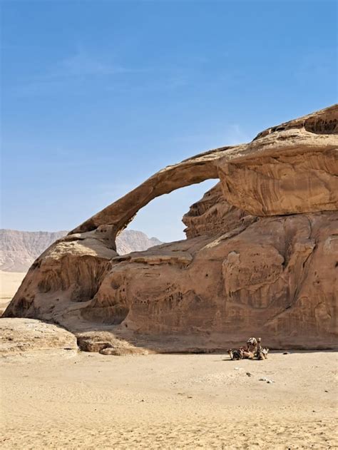 Oddly Familiar Rbattlefieldone