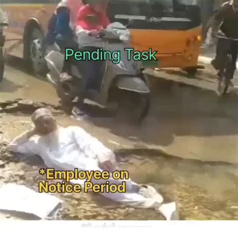 Fiza Shaikh Posted On Linkedin