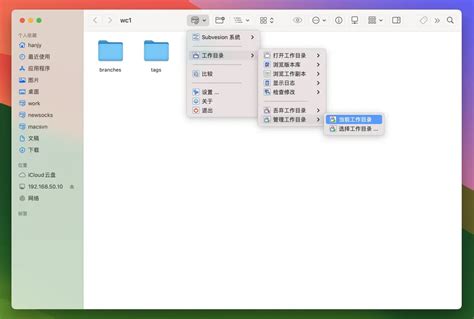 【版本控制】mac平台svn客户端 Macsvn 下载与使用指南mac Svn Csdn博客
