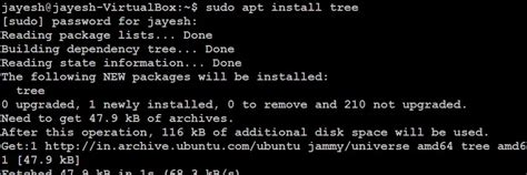 Tree Command In Linux With Examples GeeksforGeeks