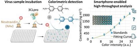 Gold Nanocluster Based Nanozyme For High Throughput Colorimetric Detection Of Sars Cov 2acs
