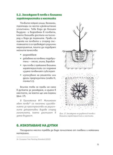 Наръчник за засаждане пресаждане грижи и резитби на декоративни дървета в населените места от