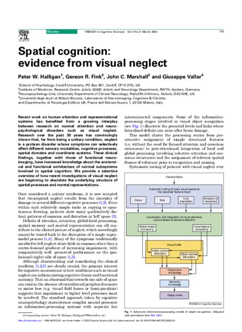 Pdf Visual Neglect Insights On Spatial Cognition