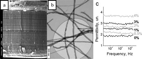 sem image of aligned cnt array grown on si substrate a tem image of