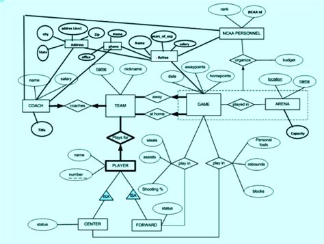 Solved 1 Find Cardinality Constraints Using Look Near