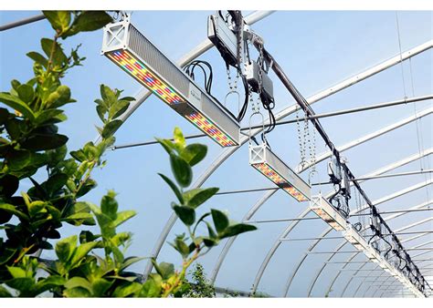 Sollum Tech Wins Award For Horticultural Lighting The Packer