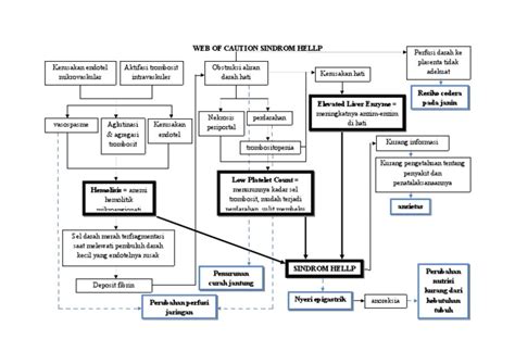 Web Of Caution Sindrom Hellp Pdf