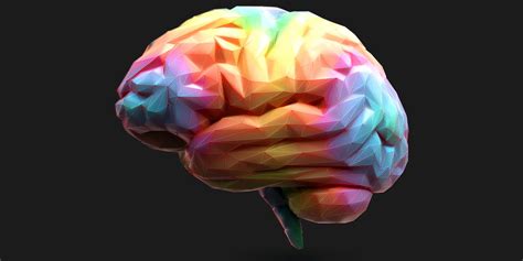 Major Depression Brain