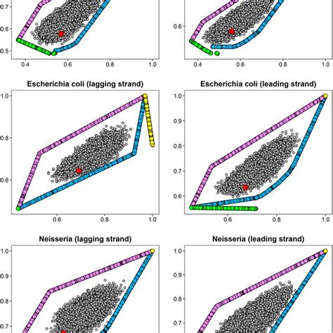 Substitution Rate Matrix Q For The Unrestricted Model Of Nucleotide