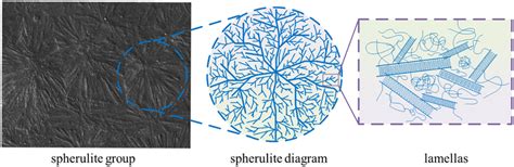 Schematic Diagram Of Polypropylene Pp S Multi‐level Crystalline