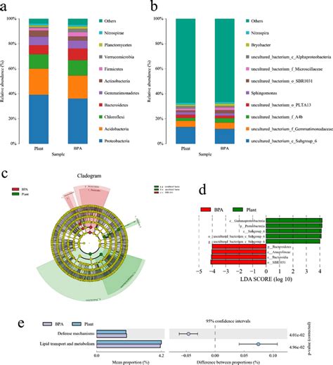 The Composition Diversity And Functional Analysis Of Bacterial Download Scientific Diagram