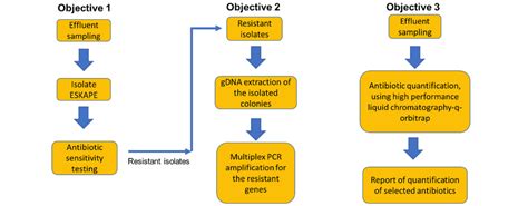 Summary Of The Workflow For This Study Eskape Enterococcus Faecium Summary Of The Workflow For This Study Eskape Enterococcus Faecium