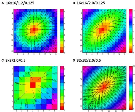 Examples Of Grid Sizes And Anisotropic Conduction Velocity Ratios Download Scientific Diagram