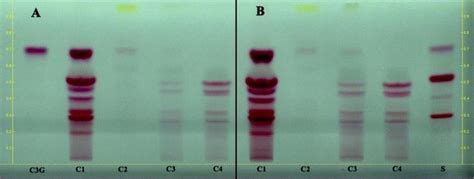 Hptlc Chromatogram Of Hydroalcoholic Extract Of Black Elder Fruits