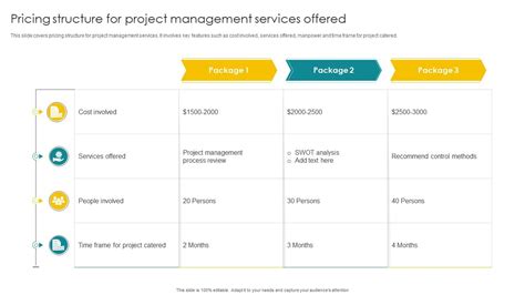 Pricing Structure For Project Management Services Offered Ppt Sample