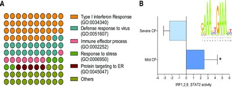Functional Enrichment Analysis Of Rna Seq Data A Representative Gene