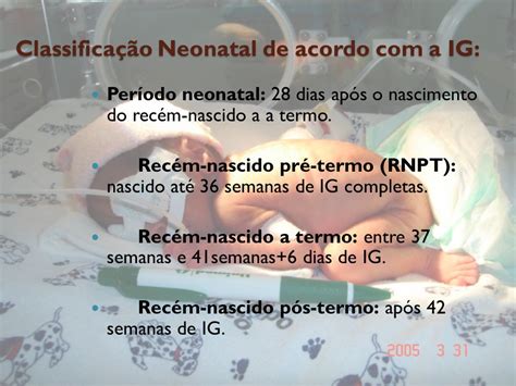 Classificação Do Recém Nascido Ppt Carregar
