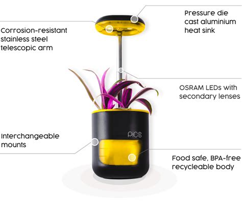 Thriving Plants Everywhere With Pico Techniblogic