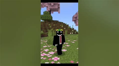 What S The Useless Block In Minecraft Minecraftshorts Minecraftfact