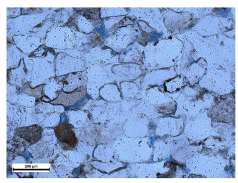 Solved Identify And Label The Types Of Diagenetic