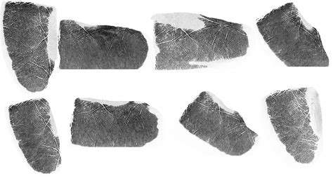 eight instances of hypothenar segments of a palm acquired from a single