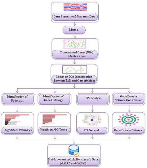 Graphical Representation Of The Analytical Approach Used In Our Download Scientific Diagram