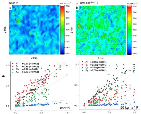 Fig S1 A B Quantitative Spatial Distribution Of P And Scattering Fig S1 A B Quantitative Spatial Distribution Of P And Scattering