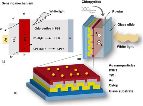 Surface Plasmon Resonance Enhanced Photoelectrochemical Sensor For Detection Of An