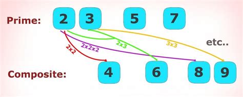 What Are Sexy Primes Twin Primes And Cousin Primes