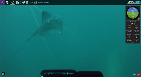 Bluerov Affordable And Capable Underwater Rov