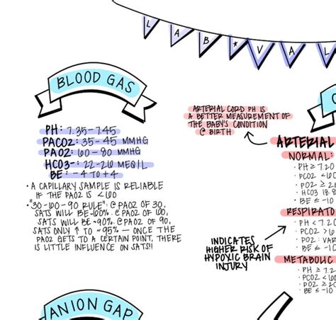 Neonatal Lab Values Nicu Nursing And Nnp Notes Etsy