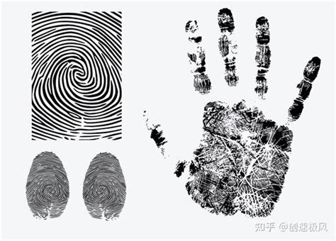 人类指纹的神秘之处，基因的诅咒还是未来的注定 知乎