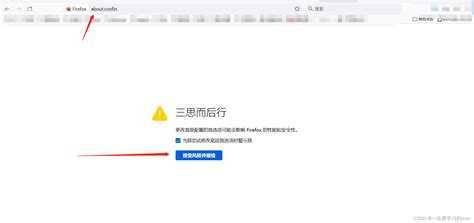 开启火狐浏览器的账号密码导入功能火狐浏览器导入密码 Csdn博客