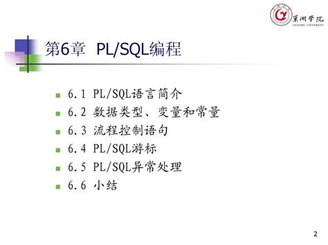 一PL SQL编程 word文档在线阅读与下载 无忧文档