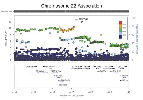 Regional Association Plot For Chromosome 22 Suggestivesignificant