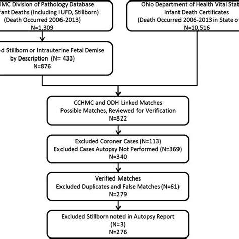 Conceptual Framework Of Determinants Influencing Infant Mortality