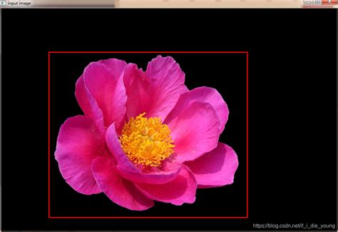 opencv关于图像前景提取 csdn博客