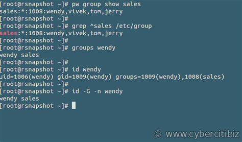 Freebsd Add A User To Group Nixcraft