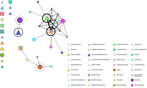 Microbiome Network Showing Associations Between Bacterial And Download Scientific Diagram