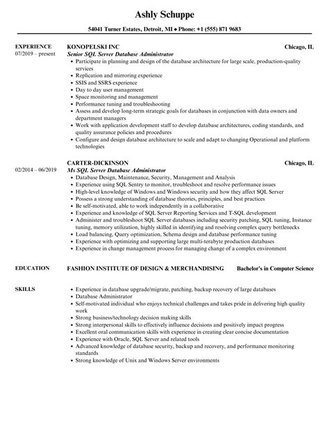 sql server database administrator resume samples velvet jobs