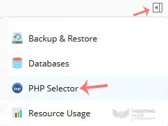 How To Enable IonCube Loader Using CloudLinux Selector In Plesk TPC Hosting
