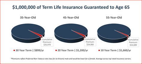 Insuring Your Economic Value With Term Life Insurance Risk Resource