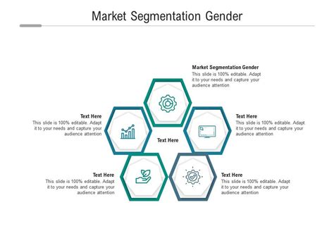 Market Segmentation Gender Ppt Powerpoint Presentation Icon Slide Cpb Presentation Graphics