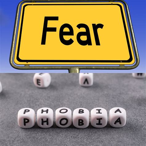 What Is The Difference Between A Fear And A Phobia Pathways