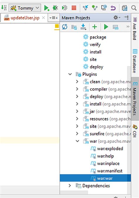 Ваше первое приложение с использованием Java сервлетов