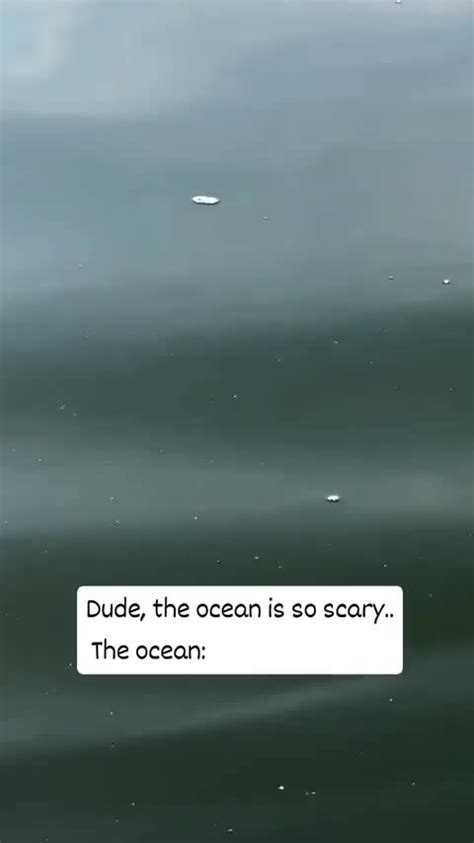 Wheeeeeeeeeee Album On Imgur