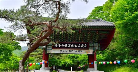 전남 장성 백양사 무료 입장 이어 주차장도 무료