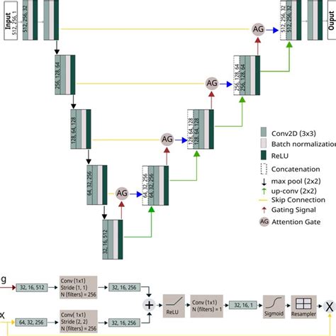 A Proposed Network Architecture Unlike In Standard U Net