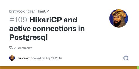 Hikaricp And Active Connections In Postgresql · Issue 109